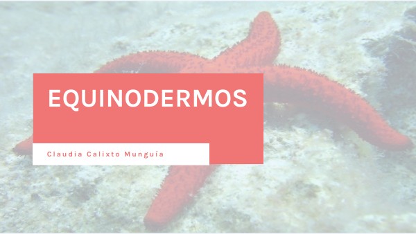 EQUINODERMOS | Genially