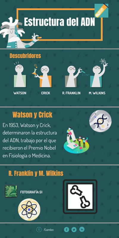 Estructura del ADN | Genially