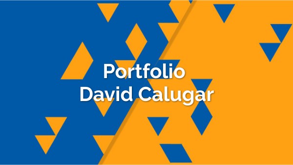 Portfolio - David Calugar