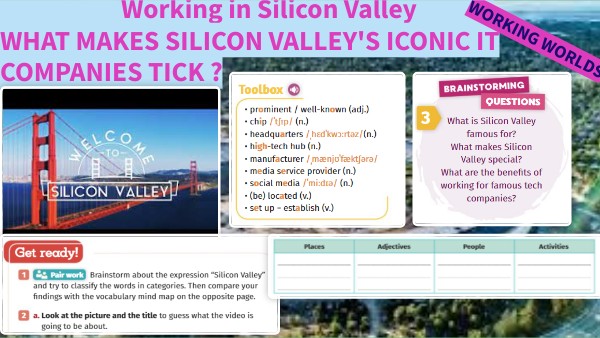 WORKING IN SILICON VALLEY