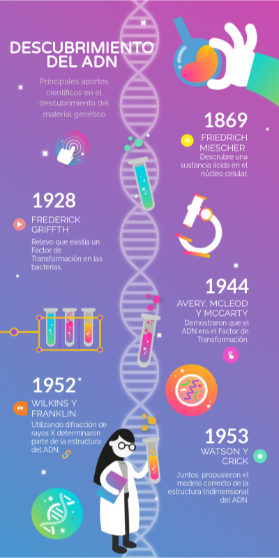 Historia Del Descubrimiento Del Adn Un Recorrido Fascinante Todo – Eroppa