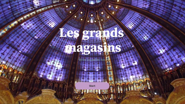 Les grands magasins2