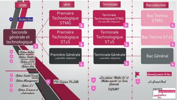 Parcours d'études lycée | Genially