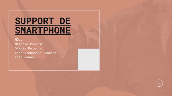PRESENTATION SUPPORT DE SMARTPHONE