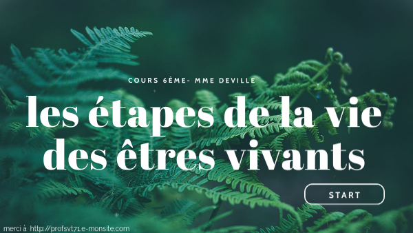 6 développement des êtres vivants | Genially