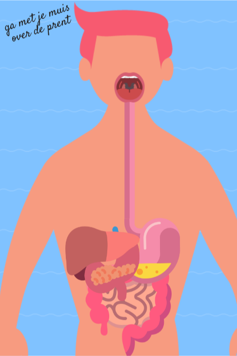 Spijsvertering lager onderwijs