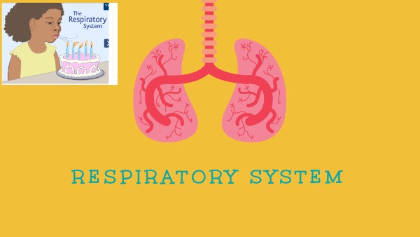 Respiratory system