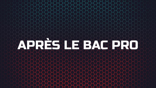 après le BAC PRO