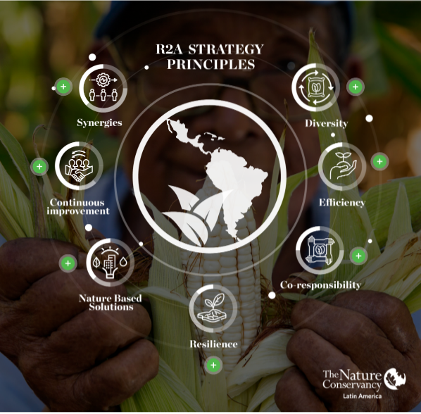 R2A Strategy: Our principles