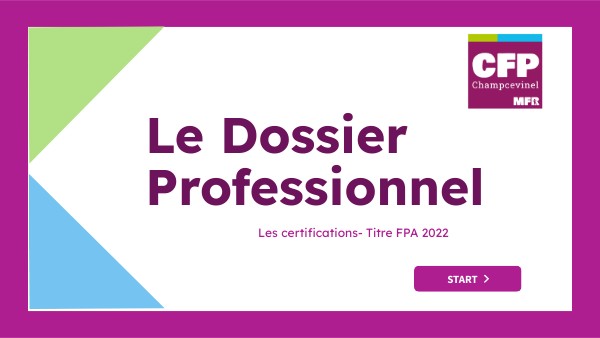 Le Dossier Professionnel