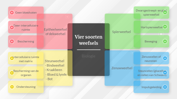Vier soorten weefsels | Genially