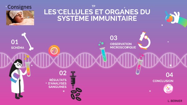 Organes et Cellules du Système Immunitaire - 3°