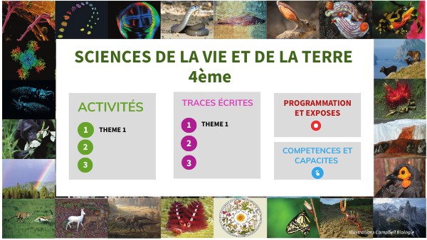 BUREAU 4ème 2022-2023