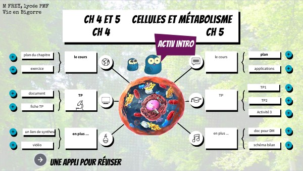 ch4 et 5 cellules