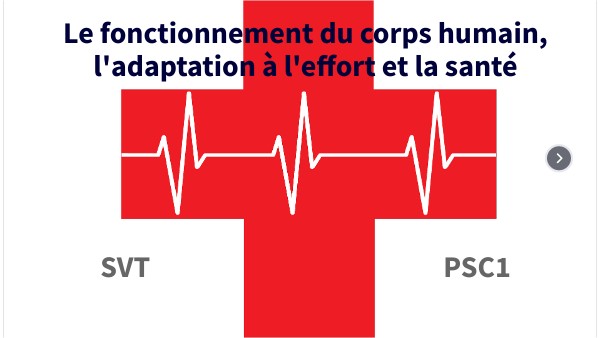 corps humain & psc1 | Genially