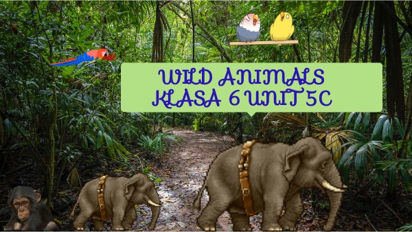 Multicode mishmash tips copy copy | Genially