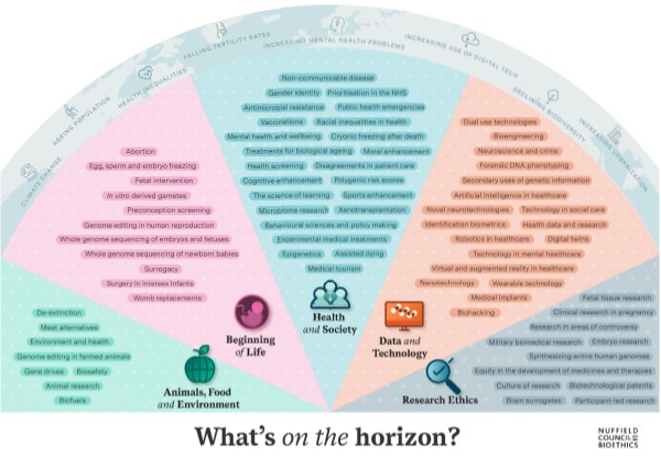 What's on the horizon for bioethics? 2022 Infographic | Genially
