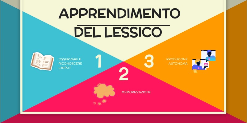 3 fasi apprendimento lessico