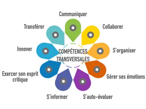 SCHEMA compétences transversales | Genially