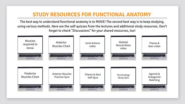 Functional Anatomy Study Resources | Genially