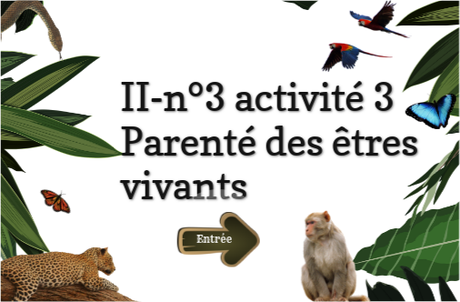 3e-Evolution et parenté | Genially