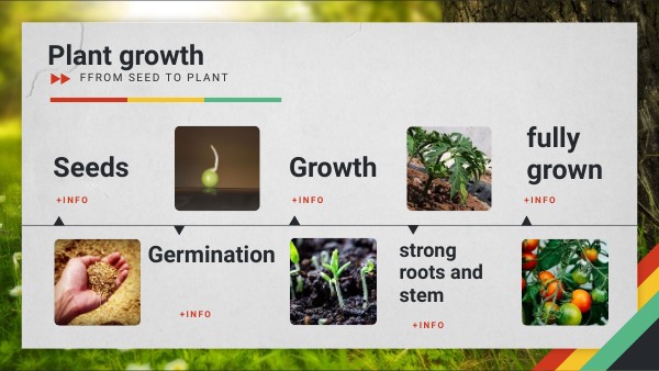 From Plant to Seed