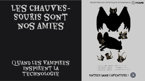 escape room chauve-souris | Genially