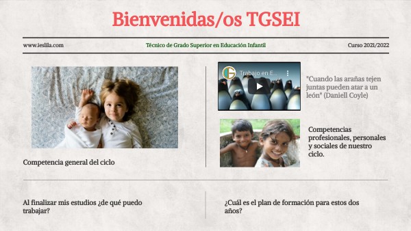 Presentación Ciclo 2º TSEIN HAS | Genially