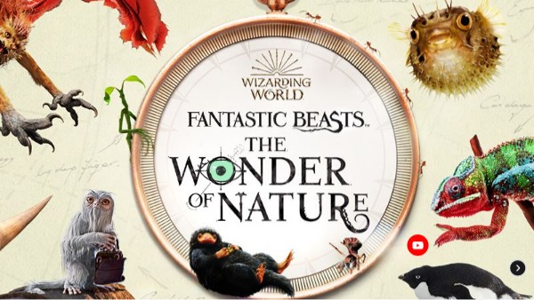 The wonder of nature | Genially