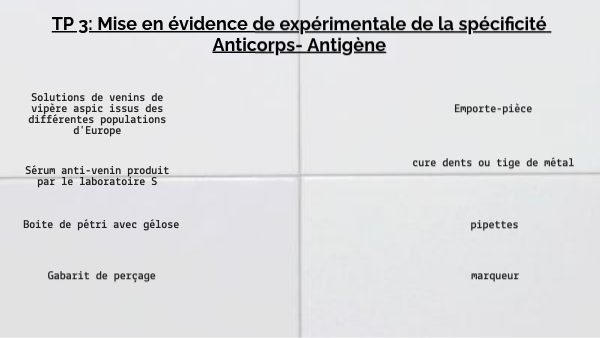 TP3: Ouchterlony | Genially