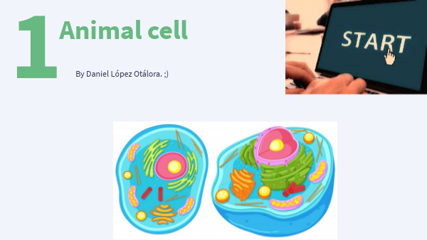 Animal cell | Genially