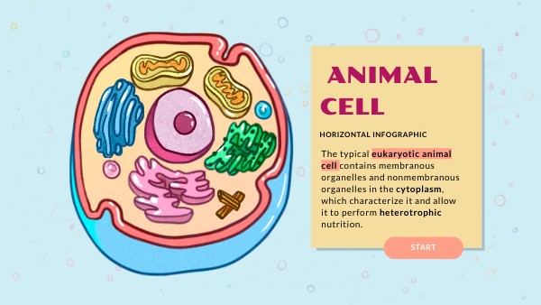 PARTS OF THE ANIMAL CELL | Genially