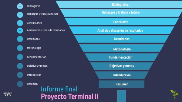 Informe final (resumen) | Genially