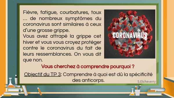 TP 3 Spécificité anticorps présentiel et distanciel | Genially