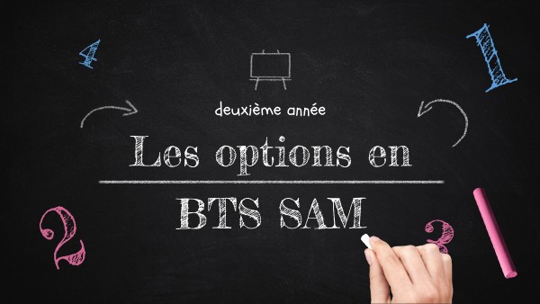 Options du BTS SAM | Genially