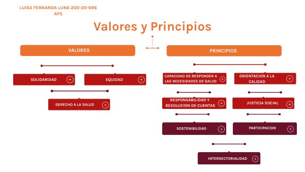 Valores y Principios APS