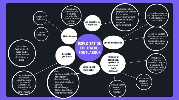 CIRCULAR CONCEPT MAP