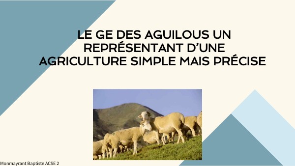 DIAGONAL PROJECT PRESENTATION | Genially