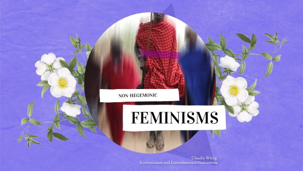AD23 NON HEGEMONIC FEMINISMS