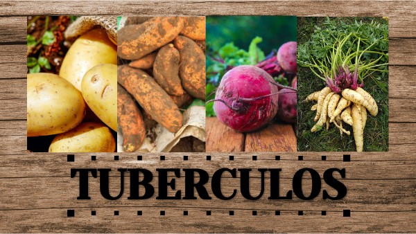 TUBERCULOS