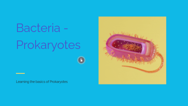 Pre AP Biology Bacteria Structure & Function