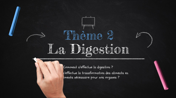 5E_Thème 2 : Digestion