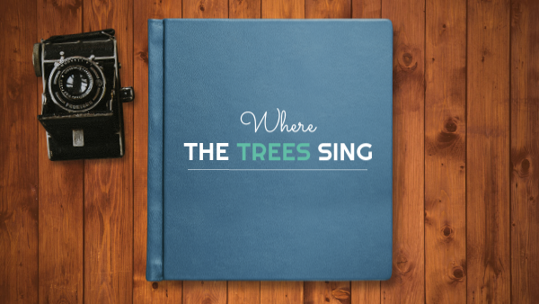 Where the trees sing