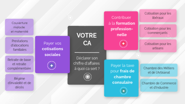 Version dans RISE : Pourquoi déclarer son CA? | Genially