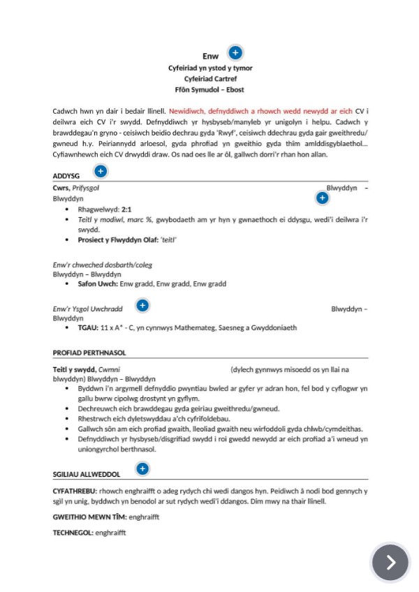 ENGIN CV Template - Cymraeg