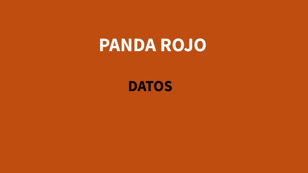 PANDA ROJO