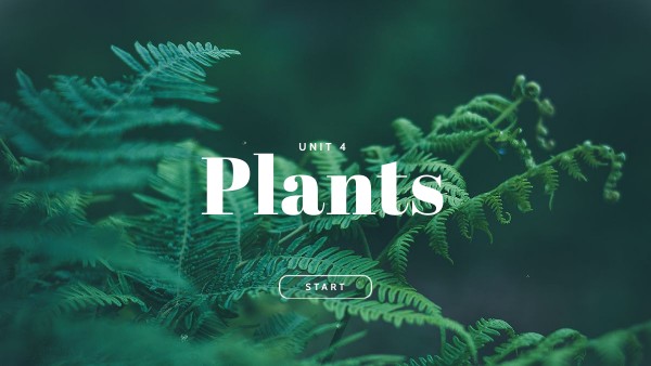 PLANTS
