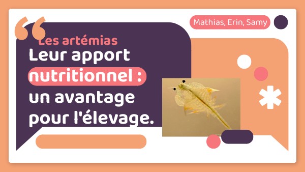 CUSTOMER SERVICE MANUAL | Genially
