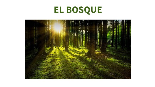 EL BOSQUE | Genially