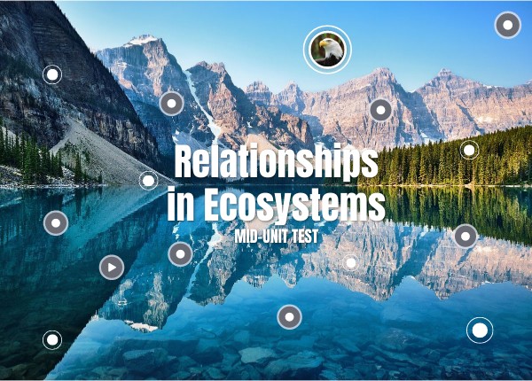 NATURE INTERACTIVE IMAGE